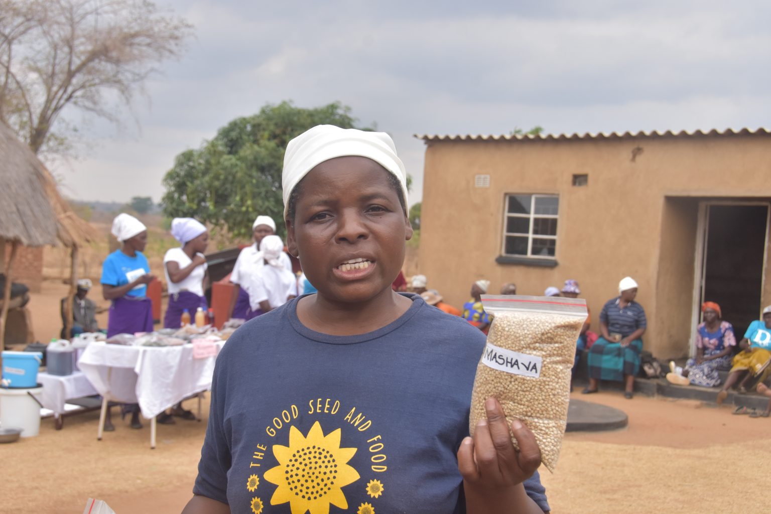 Rooted in Resilience : Rushinga Women Harness Forests and Drought-Resistant Crops to Tame ...